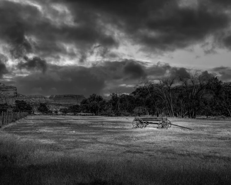 Cloudy Day Photography | 8 Actionable Tips For Cloudy Day Photography